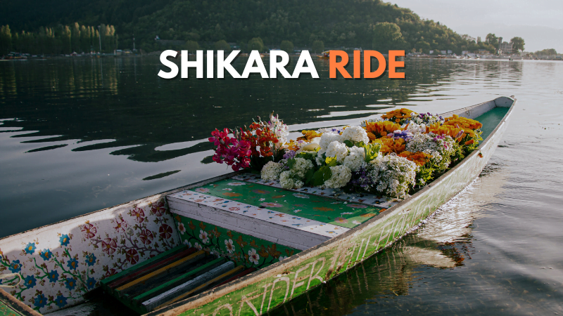 Experience Shikara Ride With KashmireX