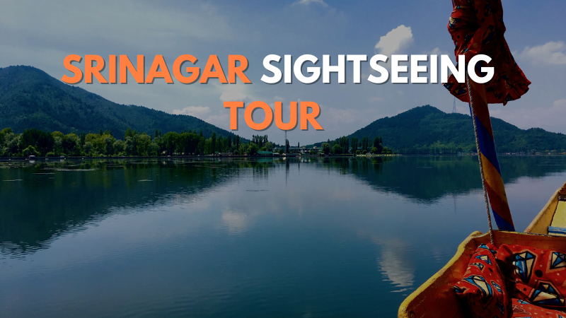 Srinagar Sightseeing Tour - KashmireX