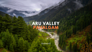 Aru Valley - pahalgam Discovering the Beauty of Aru Valley - KashmireX