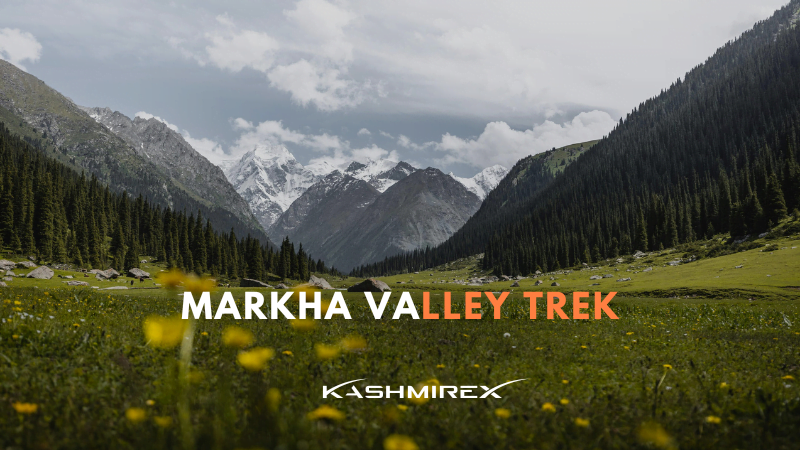 Markha Valley Trek Ladakh - KashmireX